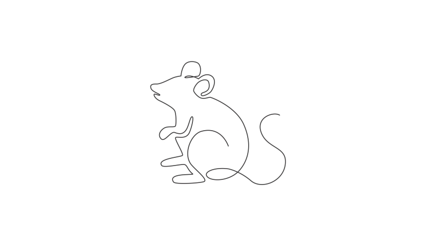 Line drawing mouse Stock Video Footage - 4K and HD Video Clips ...