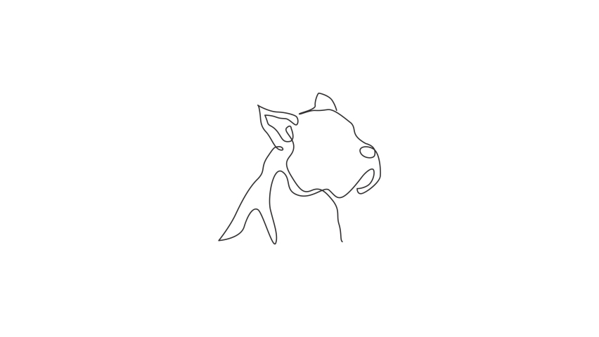 Dog contour drawing Stock Video Footage - 4K and HD Video Clips ...