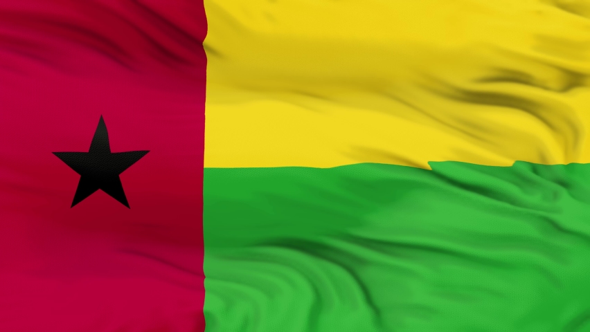 Waving guinea flag Stock Video Footage - 4K and HD Video Clips ...