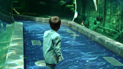 Boy eating fish Stock Video Footage - 4K and HD Video Clips | Shutterstock