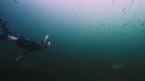 Lake Freediving Fish Woman Slowly Swims Stock Footage Video (100% ...