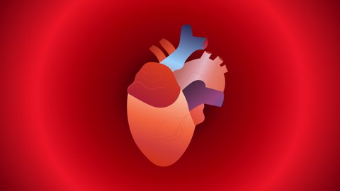 Beating Human Heart On Red Pulsing Stock Footage Video (100% Royalty ...