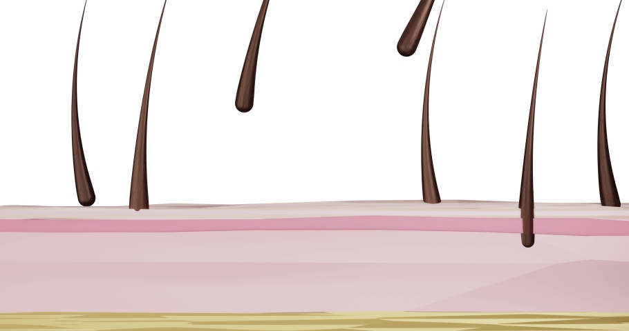 3d Render Animation of the Stock Footage Video (100% Royalty-free ...