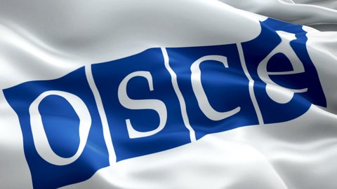 Osce Flag National 3d Organization Security Stock Footage Video (100% ...