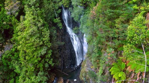 Waterfall Tasmania Forest Philosopher Falls Flow Stock Footage Video ...