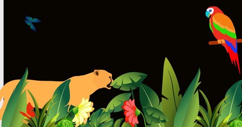 Jungle Exotic Animals Birds 2d Animation Stock Footage Video (100% ...