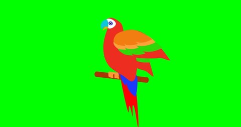 Parrot Bird Looping Animation Cartoon On Stock Footage Video (100% ...