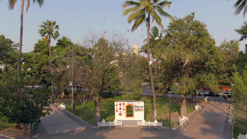 Merced garden Stock Video Footage - 4K and HD Video Clips | Shutterstock