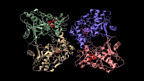 Bacteria from the cartoon Stock Video Footage - 4K and HD Video Clips ...