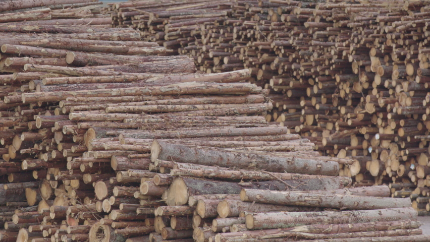 zoom out stacked chopped timber waiting Stock Footage Video (100% ...