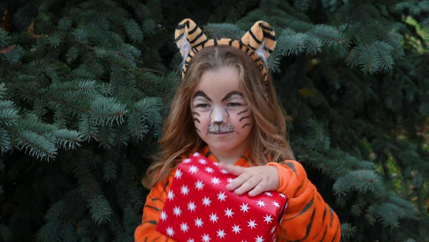 Watercolor Brush Tiger Stock Video Footage - 4K and HD Video Clips ...