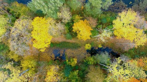 Aerial Scenic Topdown View Path Colorful Stock Footage Video (100% ...