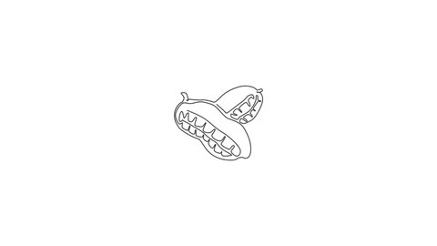 10 Groundnut logo Stock Video Footage - 4K and HD Video Clips ...