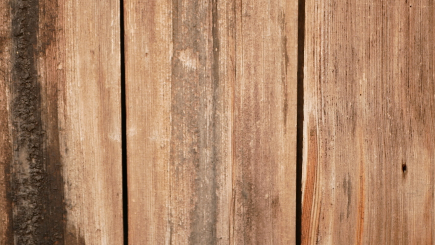 Old Pinewood Backdrop Stock Video Footage - 4K and HD Video Clips ...