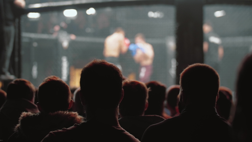 Boxing ring audience Stock Video Footage - 4K and HD Video Clips ...