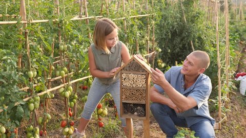 Mom Shows Her Little Daughter Insect Stock Footage Video (100% Royalty ...