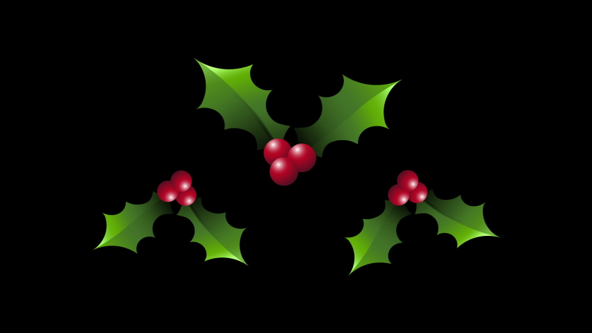 Christmas holly berry Stock Video Footage - 4K and HD Video Clips ...