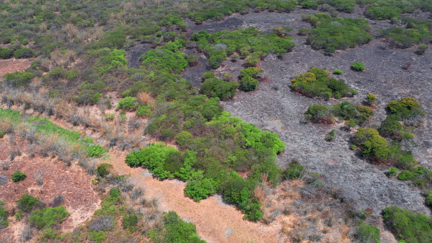 300 Australian bush scene Stock Video Footage - 4K and HD Video Clips ...