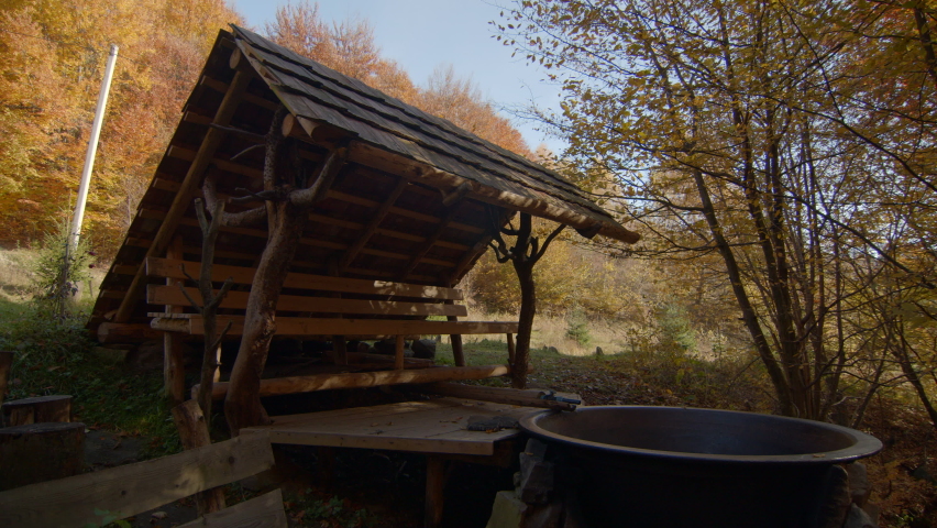 Vat tree Stock Video Footage - 4K and HD Video Clips | Shutterstock