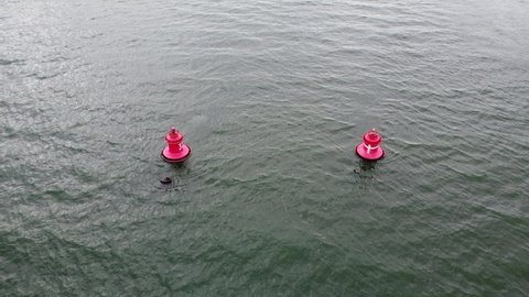 Buoy Beacon Floating Sign Installed Anchor Stock Footage Video (100% ...