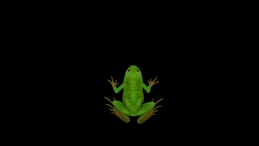 130 Cartoon frog jumping Stock Video Footage - 4K and HD Video Clips ...