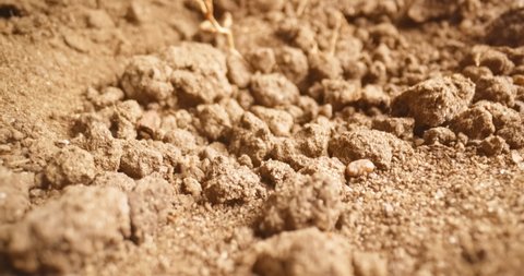 Soil Stirring While Earthquake Stock Footage Video (100% Royalty-free ...