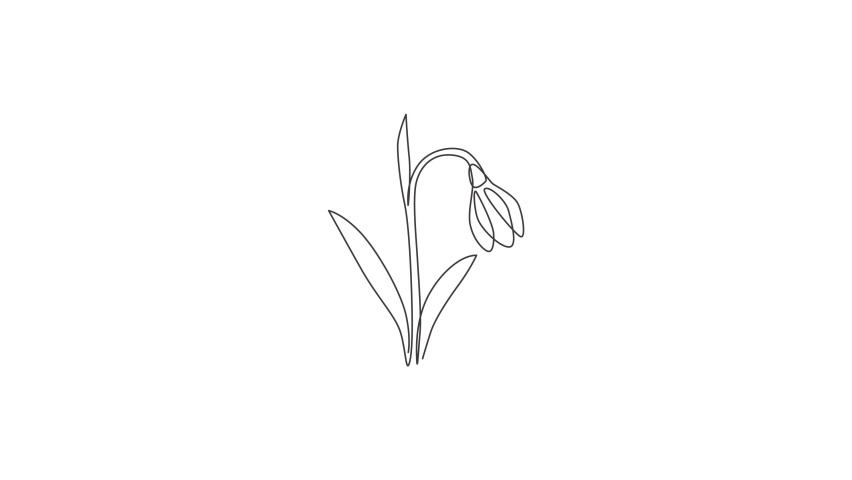 animated self drawing continuous line draw Stock Footage Video (100% ... animated self drawing continuous line draw Stock Footage Video (100% ...