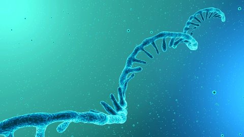 Rna structure Stock Video Footage - 4K and HD Video Clips | Shutterstock