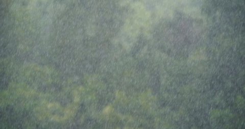 Heavy Rain Forest Background Nature Background Stock Footage Video (100 ...