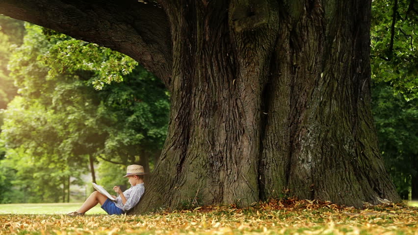 Reading a book under a tree Stock Video Footage - 4K and HD Video Clips ...