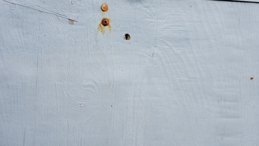 Teal fade Stock Video Footage - 4K and HD Video Clips | Shutterstock