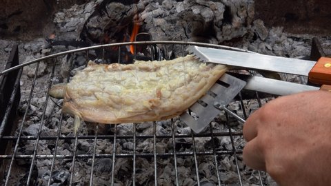 Raw Mackerel Fish Fillet Flipped On Stock Footage Video (100% Royalty ...