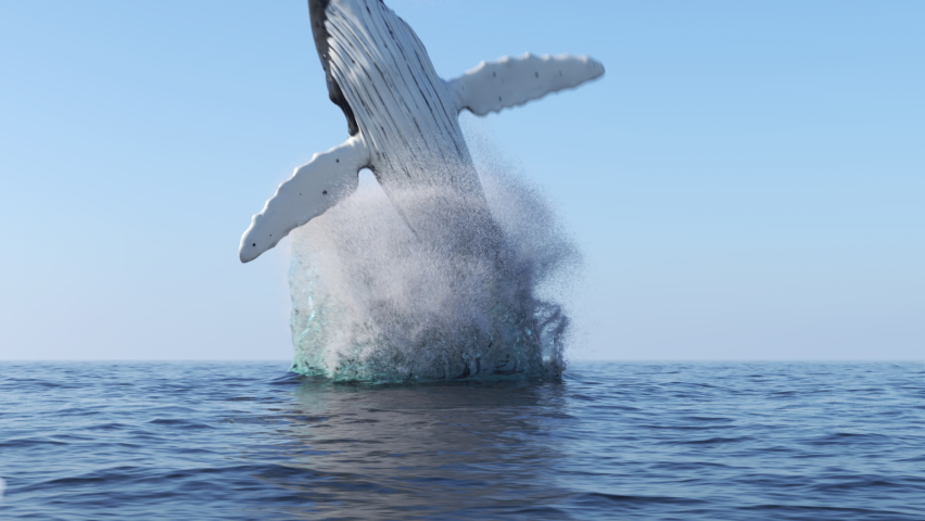 Humpback Whale Jumping image - Free stock photo - Public Domain photo ...