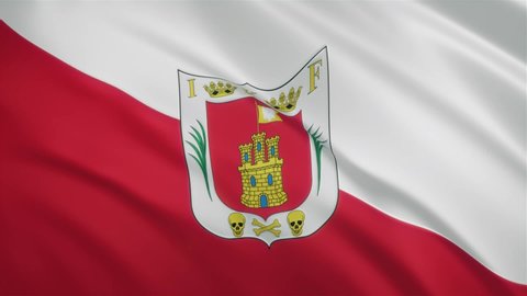 Tlaxcala Mexican State Waving Flag Stock Footage Video (100% Royalty ...