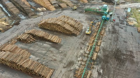 Logging Machine Transports Logs Stack Loader Stock Footage Video (100% ...