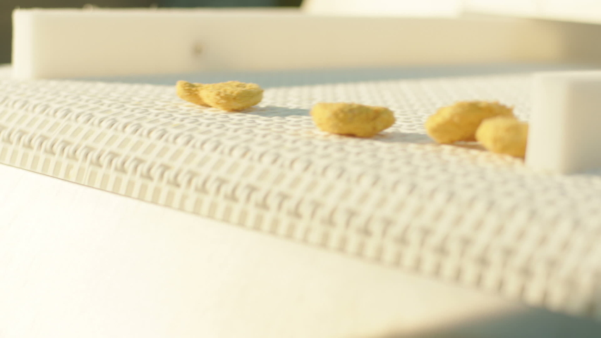 Nugget factory Stock Video Footage - 4K and HD Video Clips | Shutterstock