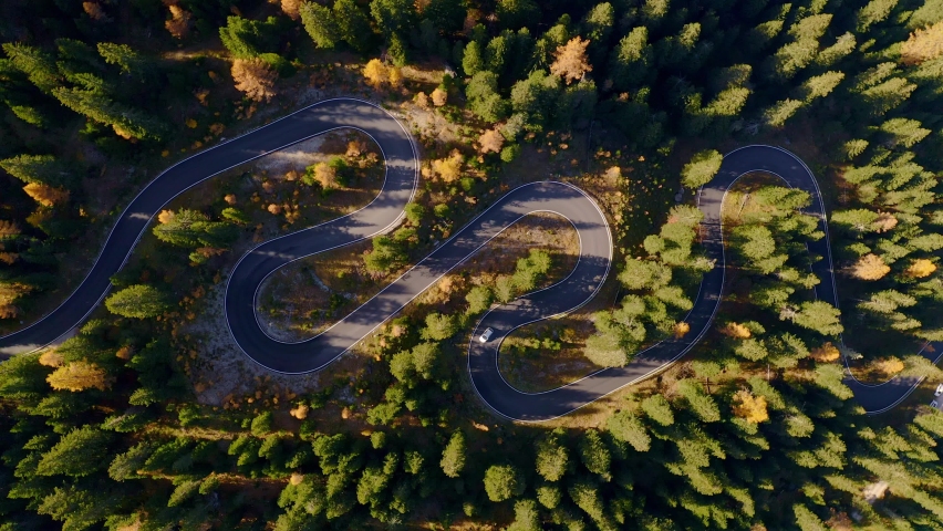 Tar snakes Stock Video Footage - 4K and HD Video Clips | Shutterstock