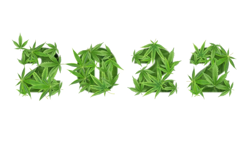 Numbers cannabis Stock Video Footage - 4K and HD Video Clips | Shutterstock