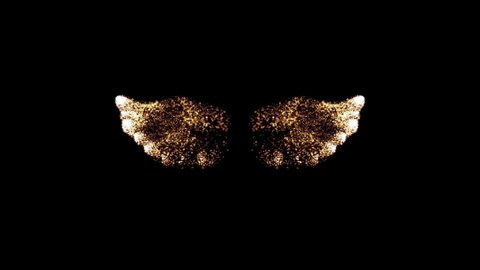 Appearance Angel Wings Form Fireworks Stock Footage Video (100% Royalty ...