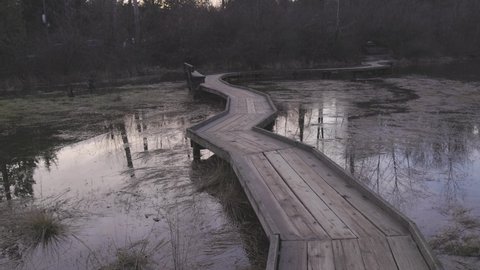 View Wooden Path Across Swamp Shoreline Stock Photo 2150215689 ...