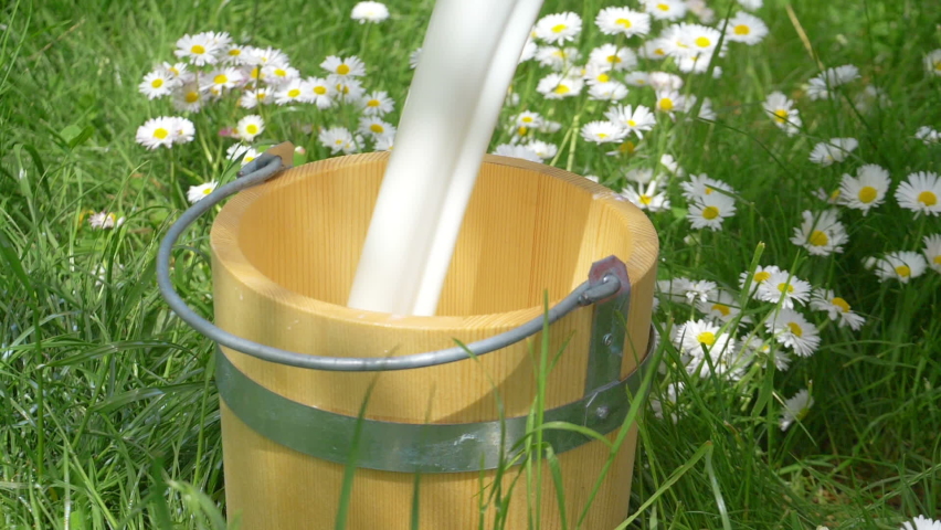 Milk bucket wood Stock Video Footage - 4K and HD Video Clips | Shutterstock