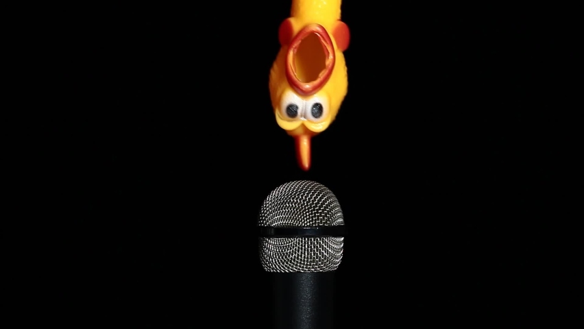 Rock star chicken Stock Video Footage - 4K and HD Video Clips ...