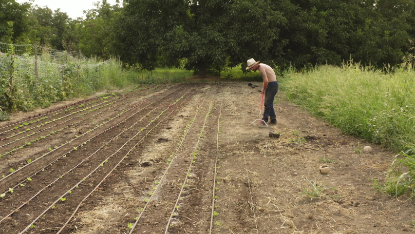 farmer using rake farming tool till Stock Footage Video (100% Royalty ...