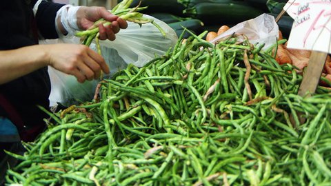 Old Farmer Harvesting Clove Clove Plantation Stock Photo (Edit Now ...