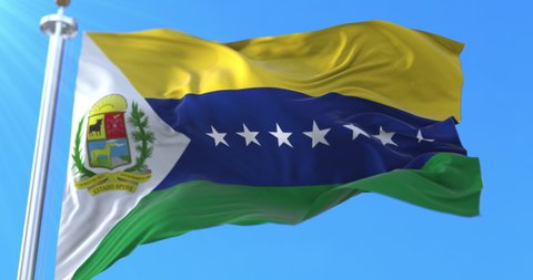 Apure State Flag Venezuela Loop Stock Footage Video (100% Royalty-free ...
