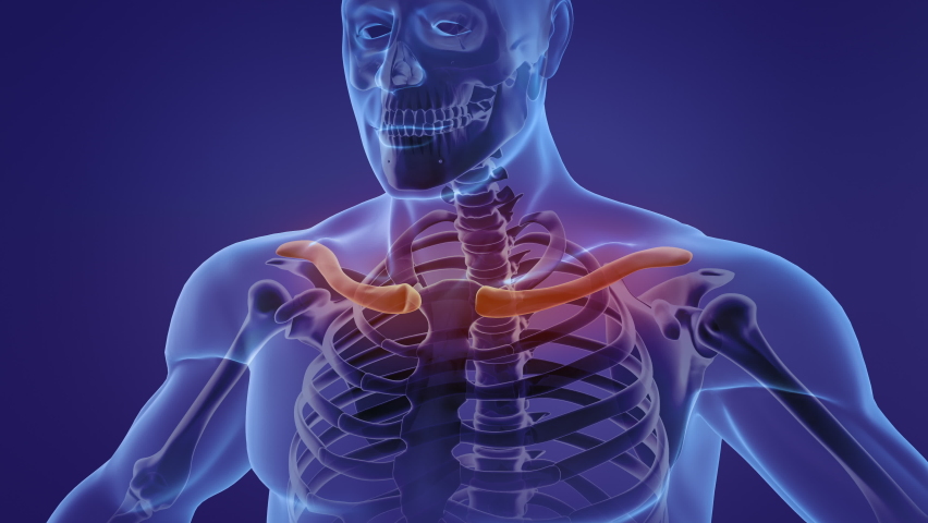 Neck and shoulder injury infographic Stock Video Footage - 4K and HD ...