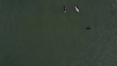 Two Surfers Floating Ocean Water Surfboards Stock Footage Video (100% ...