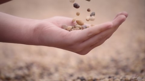 Pebbles Falling One Hand Another Slow Stock Footage Video (100% Royalty ...