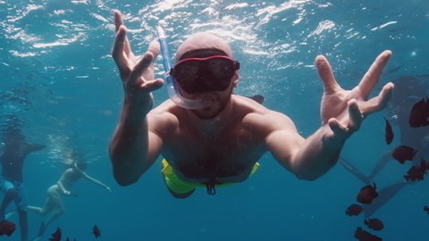 Man Swims Underwater Fish Tries Catch Stock Footage Video (100% Royalty ...