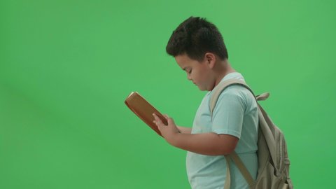 Green screen book Stock Video Footage - 4K and HD Video Clips ...